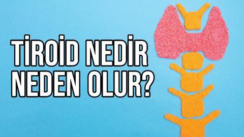 Tiroid Nedir Neden Olur? Tiroid Bezinin Görevleri Nelerdir? » Muhammed ...